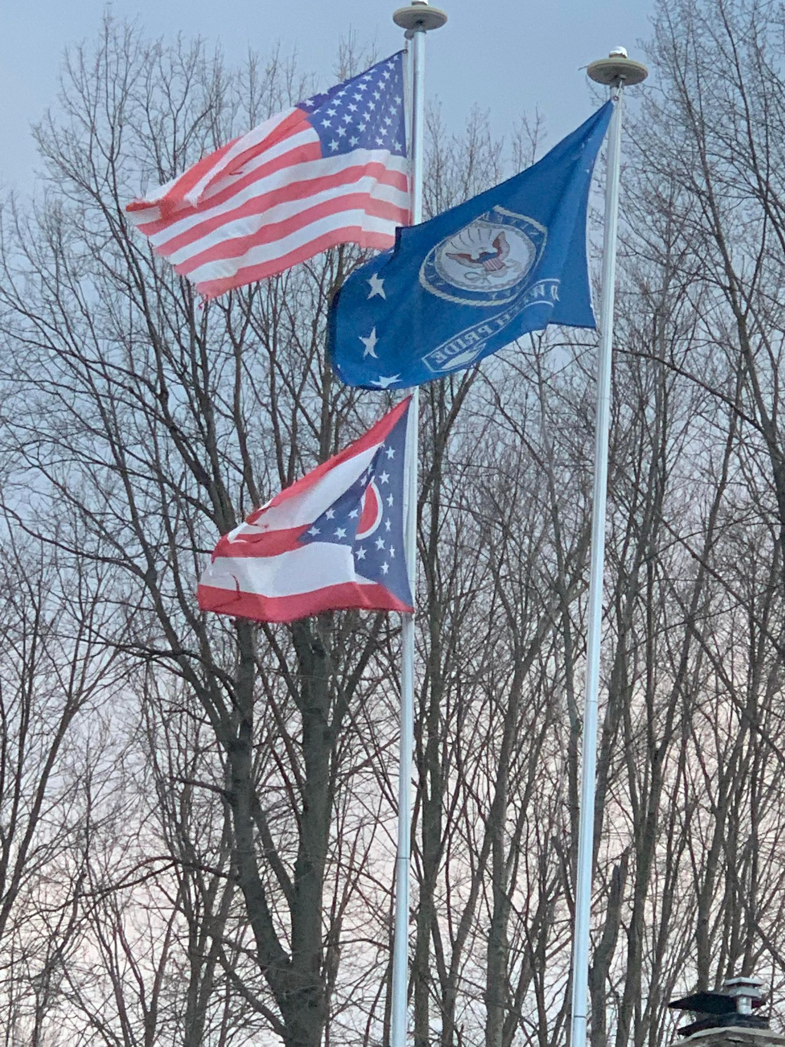 Flew a flag out in our yard ’til the day that he died – The Life of Walt